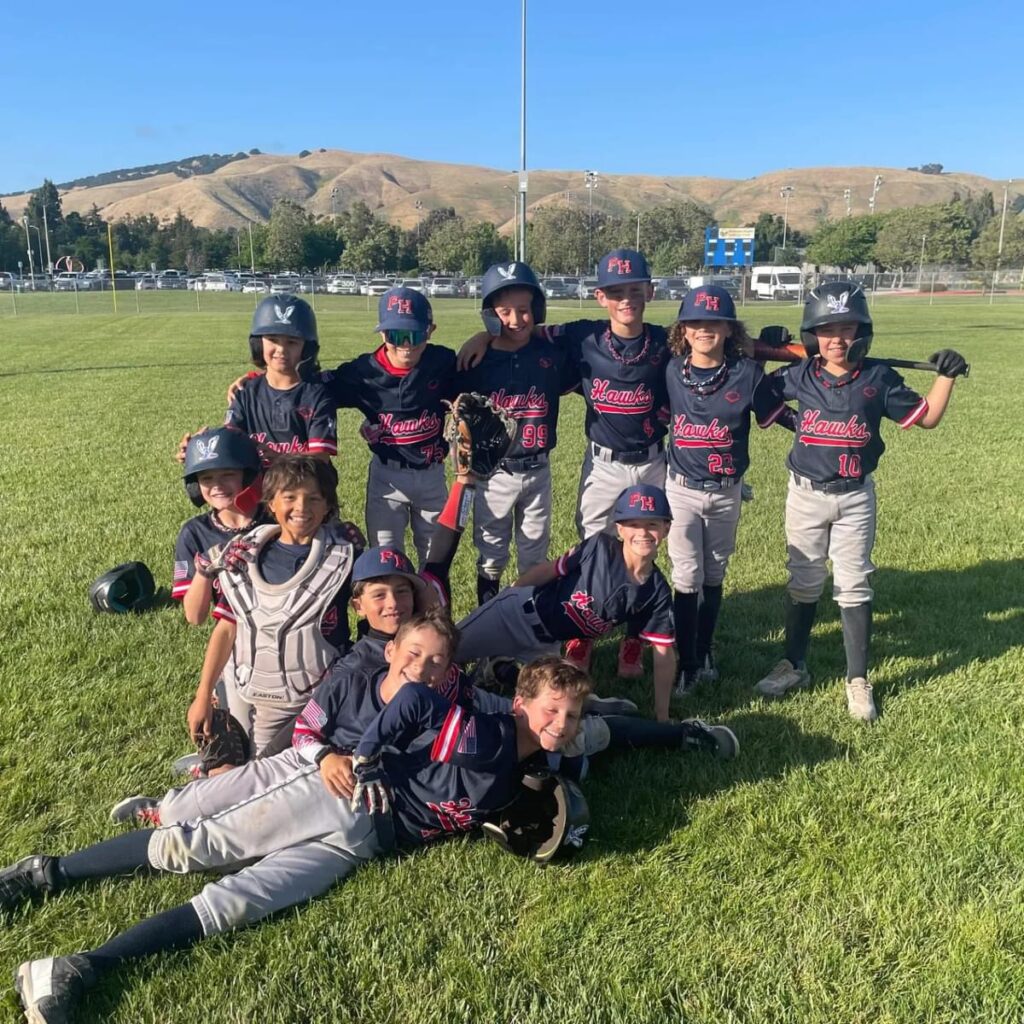 Pleasant Hill Hawks - Pleasant Hill Hawks